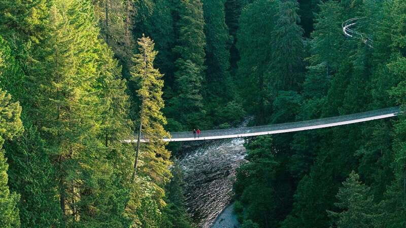 Vancouver: Capilano Suspension Bridge Park Ticket - The Experience from Visitors’ Perspective