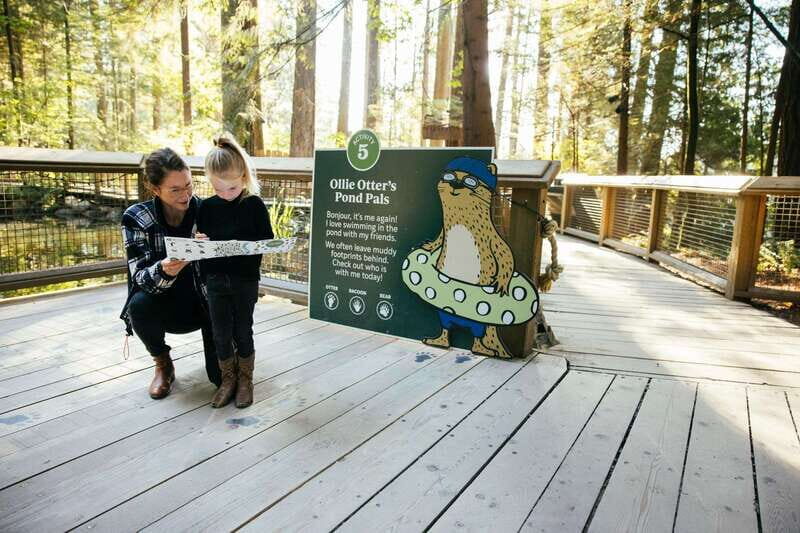 Vancouver: Capilano Suspension Bridge Park Ticket - Practical Tips for the Best Experience