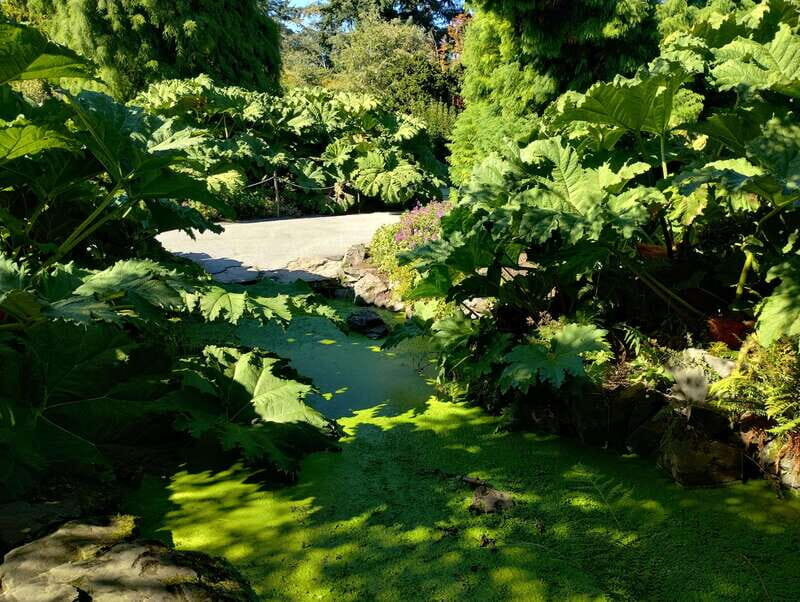 Vancouver Car Tour: See All City Attractions/Save Time&Money - FAQ
