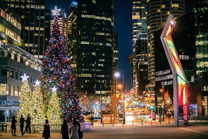 Vancouver Christmas Light Tour private - A detailed look at the experience