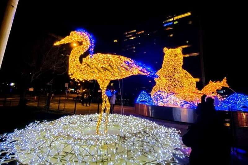 Vancouver Christmas Light Tour private - Key Points