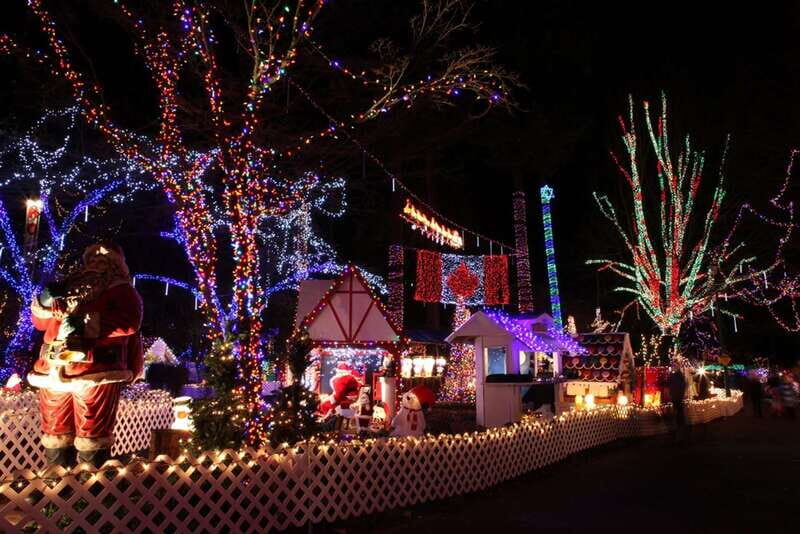 Vancouver Christmas Light Tour private - Analyzing the Value