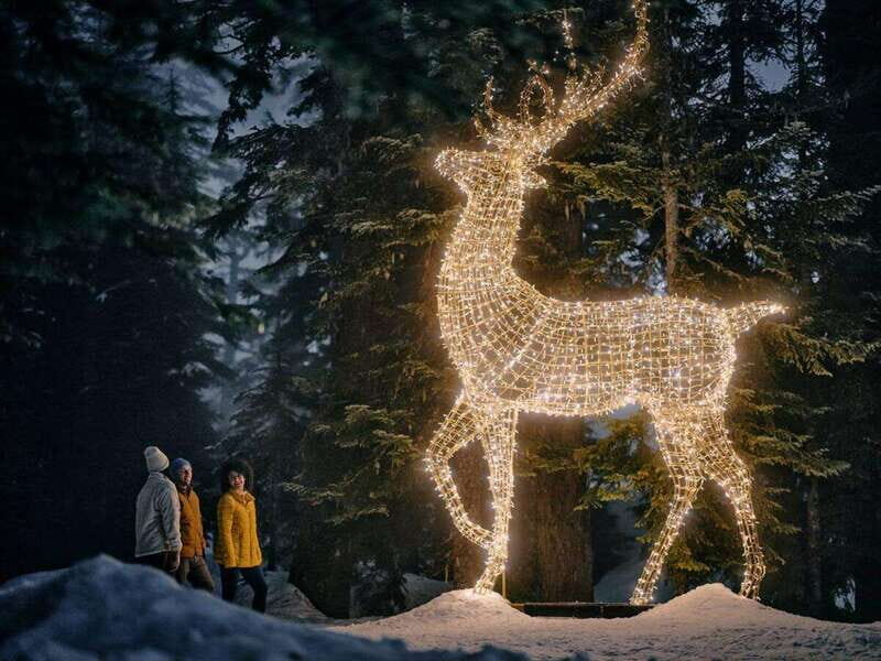 Vancouver: Christmas Lights Karaoke Trolley Tour - What We Learned from the Reviews