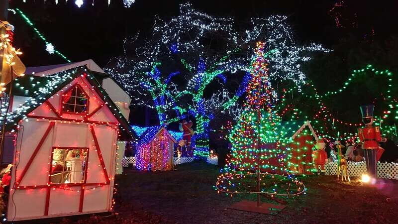 Vancouver: Christmas Tour with Light Festival Entrance - Who Will Love This Tour
