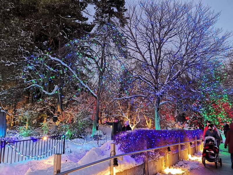 Vancouver: Christmas Tour with Light Festival Entrance - Final Thoughts