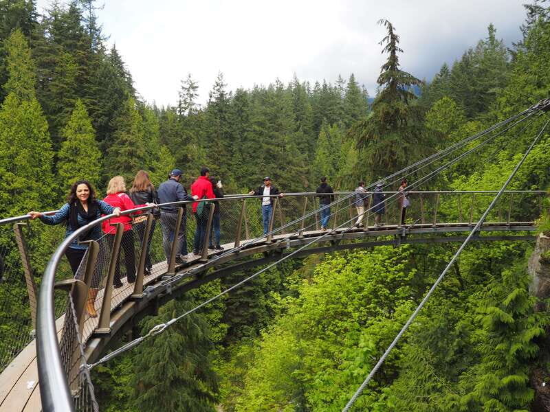 Vancouver City and Capilano Park Private Tour - Who Should Consider This Tour?