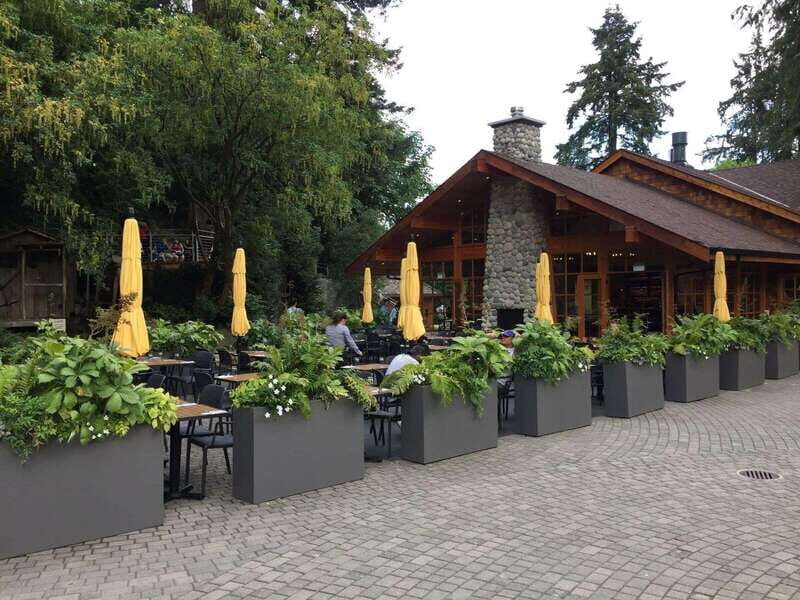 Vancouver: City and Mountain Adventure with Grouse Mountain - Exploring Vancouver: The Heart of the Tour