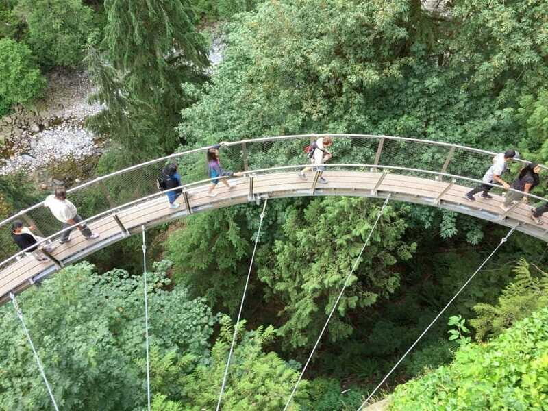 Vancouver: City and Mountain Adventure with Grouse Mountain - Capilano Suspension Bridge: A Thrilling Finale