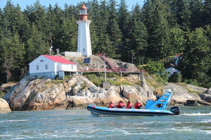 Vancouver: City and Seal Boat Tour - Key Points