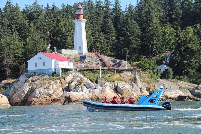 Vancouver City and Seals Scenic Boat Tour by Vancouver Water Adventures - Authentic Experiences & Traveler Insights