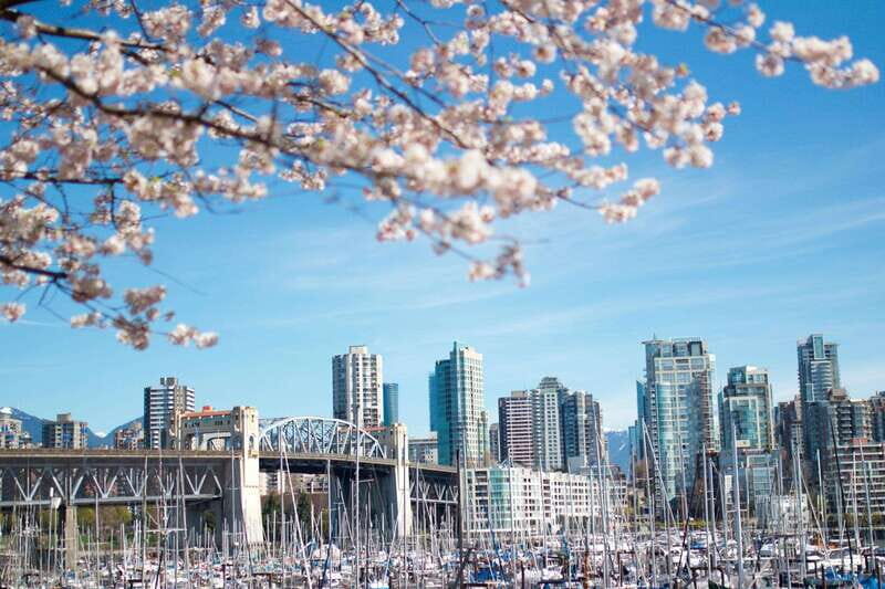Vancouver: City & Granville Island Sightseeing Trolley Tour - Authentic Experiences and Insights