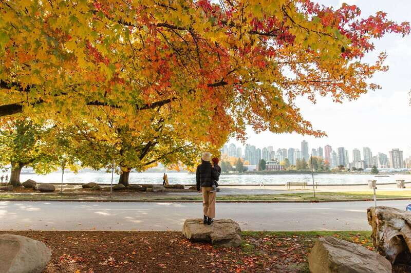 Vancouver: City & Granville Island Sightseeing Trolley Tour - Who Will Love This Tour?