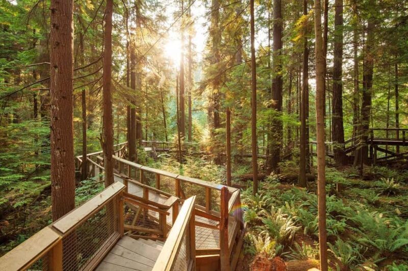 Vancouver: City Highlights Bus Tour - In-Depth Look at the Stops
