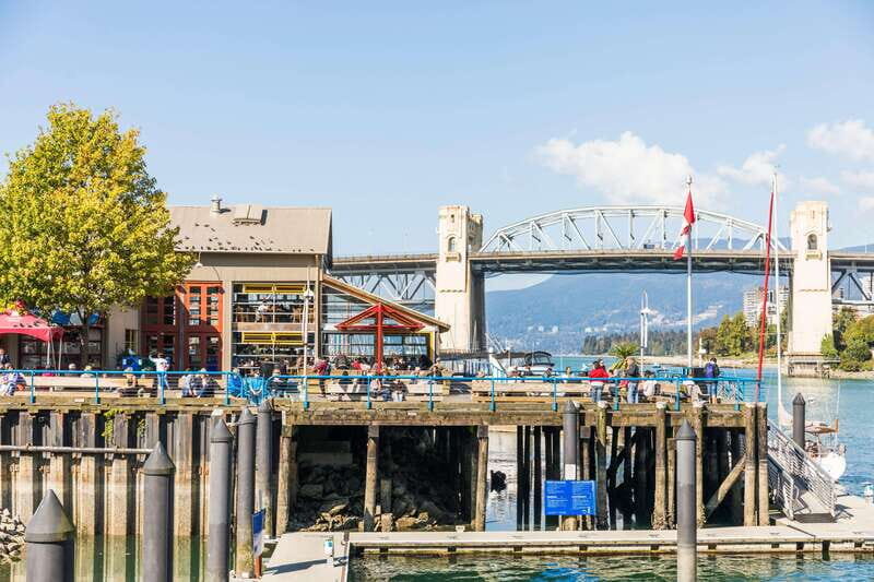 Vancouver: City + Lookout Tour & Option to Add YVR Drop-Off - Who Is This Tour Best For?