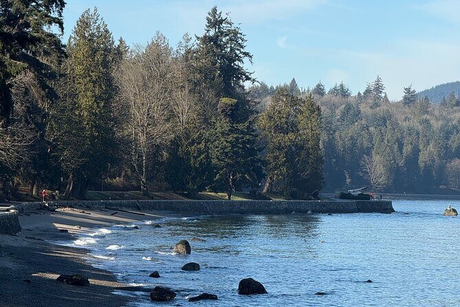 Vancouver City Photoshoot Tour with Capilano Bridge & Dinner - Who Will Love This Tour?