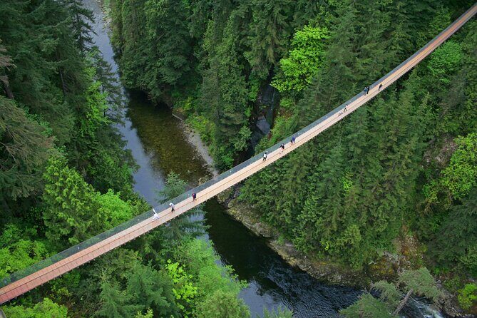 Vancouver City Sightseeing Tour: Capilano Suspension Bridge & Vancouver Lookout - Transport, Group Size, and Timing