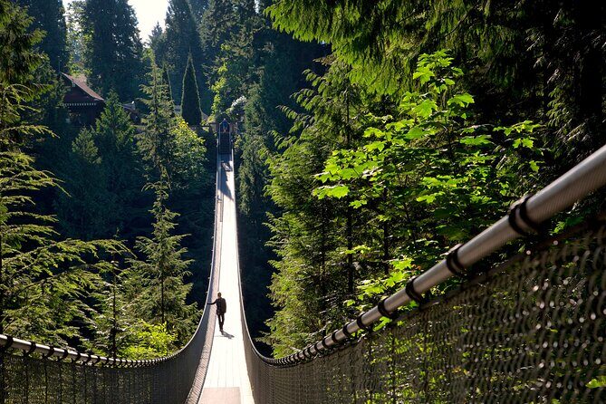Vancouver City Sightseeing Tour: Capilano Suspension Bridge & Vancouver Lookout - Who Should Consider This Tour?