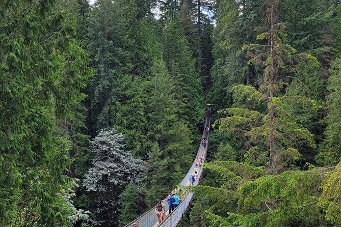 Vancouver City Tour: Capilano Bridge and Stanley Park - Vancouver City Tour: Capilano Bridge and Stanley Park — A Complete Look