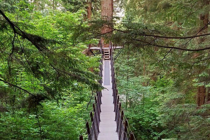 Vancouver City Tour: Capilano Bridge and Stanley Park - Key Points