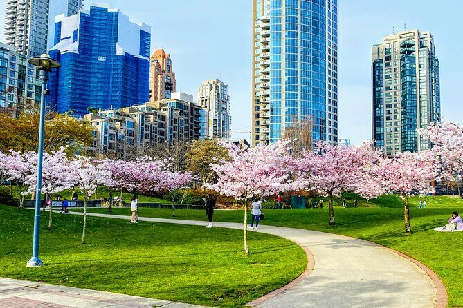 Vancouver City Tour with Cherry Blossom Festival Private - The Experience in Detail