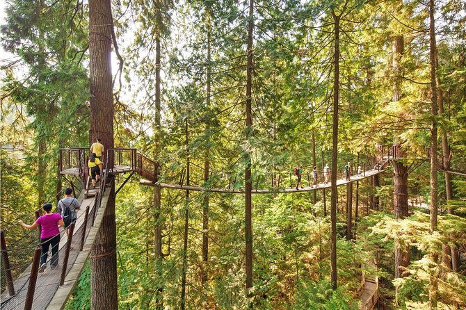 Vancouver City Tour With Stanley, Grouse Mountain & Capillano Suspension Private - FAQ About the Tour