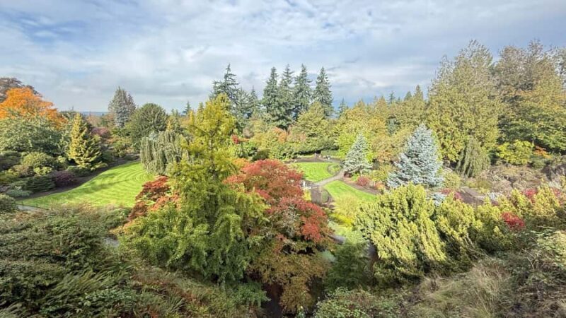 Vancouver City Tour+CAR+Grandville ISL+Queen Elizabeth/China - Exploring Vancouver in Style: A Detailed Review of the City Tour with Private Car Access