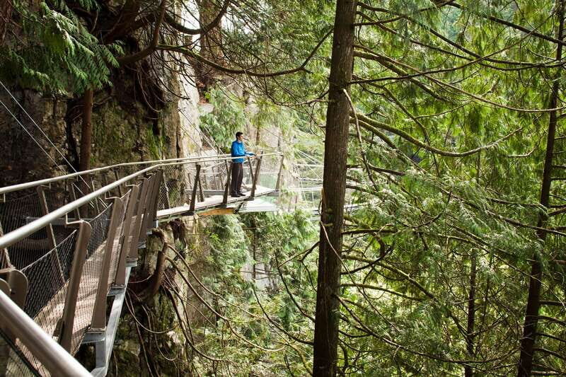 Vancouver: City+Lookout+Capilano Suspension Bridge Ticket - Who Should Consider This Tour?