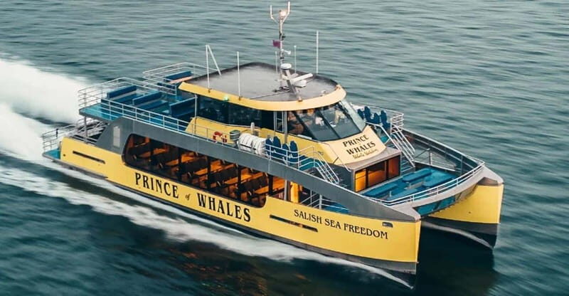 Vancouver: Covered Whale Watching Adventure with Free Photos - Practical Details and Tips