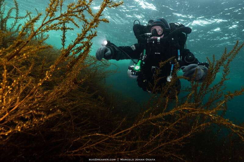 Vancouver: Discover the Best SCUBAdiving Sites by Boat - How It Compares Value-Wise