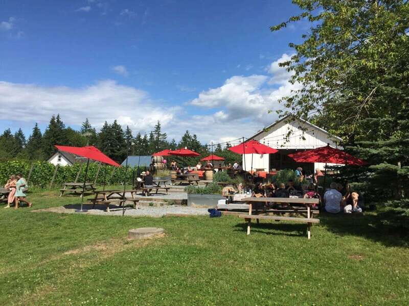 Vancouver: Fraser Valley Wine Tasting Tour - Key Points