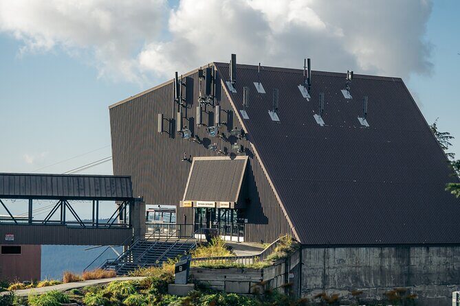 Vancouver Grouse Mountain and Granville Island Tour - Exploring the Highlights of the Tour