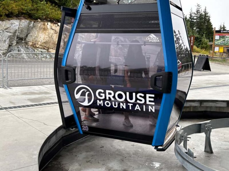 Vancouver Grouse Mountain & Granville Island Tour - Key Points