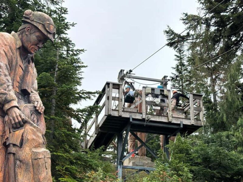 Vancouver Grouse Mountain & Granville Island Tour - FAQ: Your Questions Answered