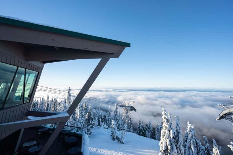 Vancouver: Grouse Mountain & Stanley Park Signature Tour - A Detailed Look at the Tour Experience