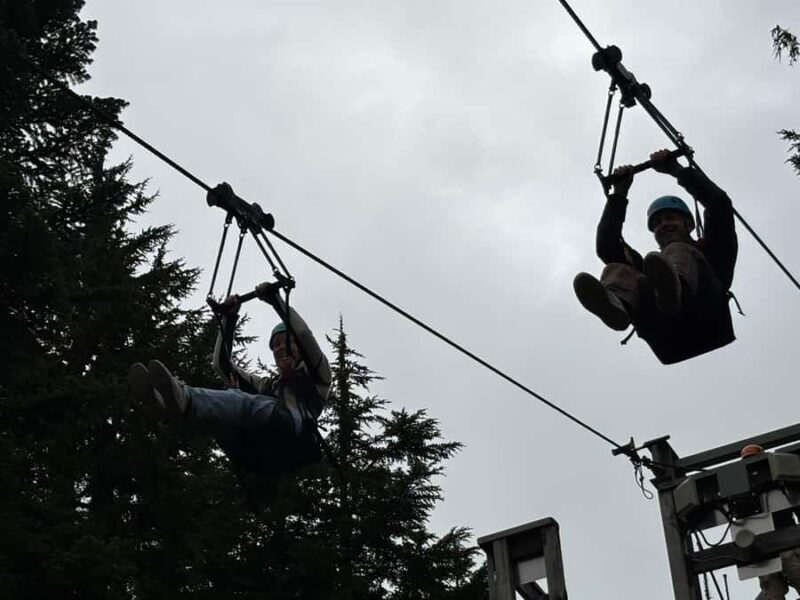 Vancouver: Grouse Mountain & Stanley Park Signature Tour - FAQ