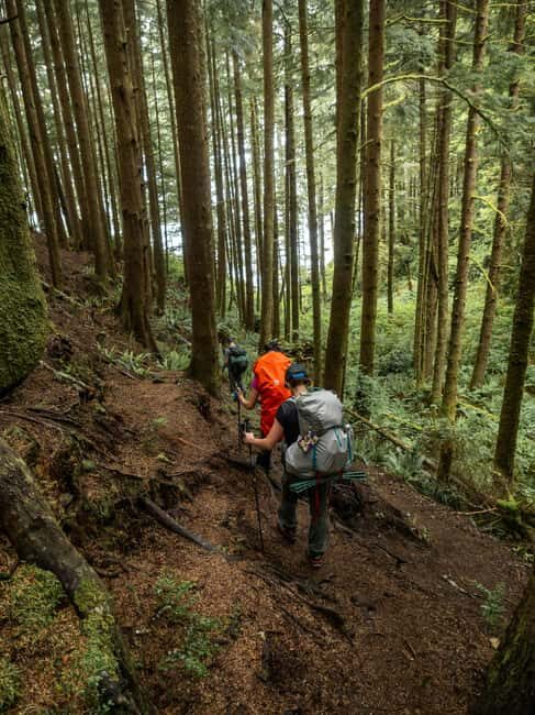 Vancouver: Guided Hiking Highlights at Grouse & Lynn Canyon - Introduction: A Day of Adventure on Vancouver’s North Shore