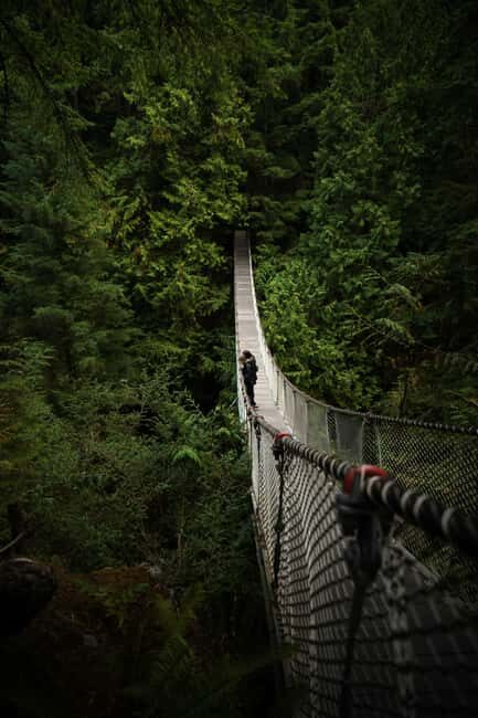 Vancouver: Guided Hiking Highlights at Grouse & Lynn Canyon - Price and Value: Does It Justify the Cost?
