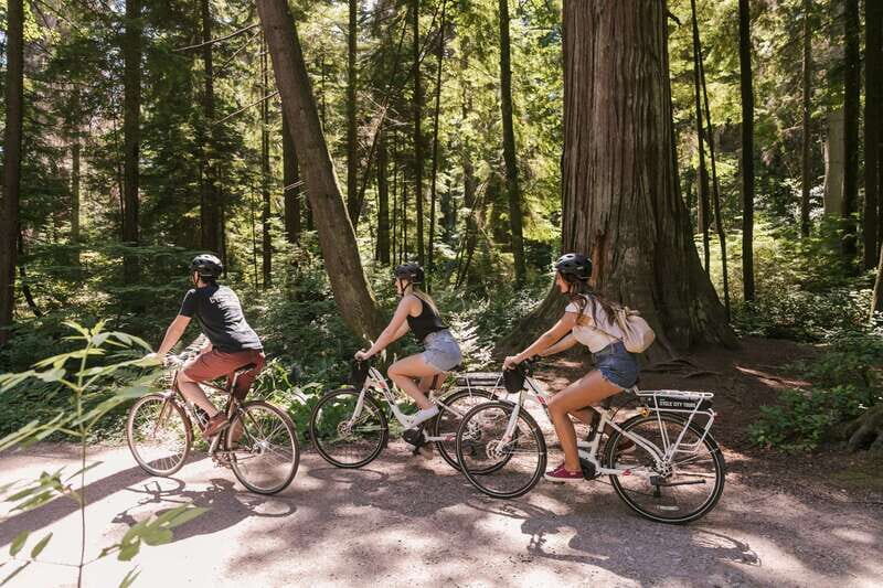 Vancouver: Half-Day City Highlights E-Bike Tour Age 16+ - Exploring Vancouver on an E-Bike: What You Can Expect