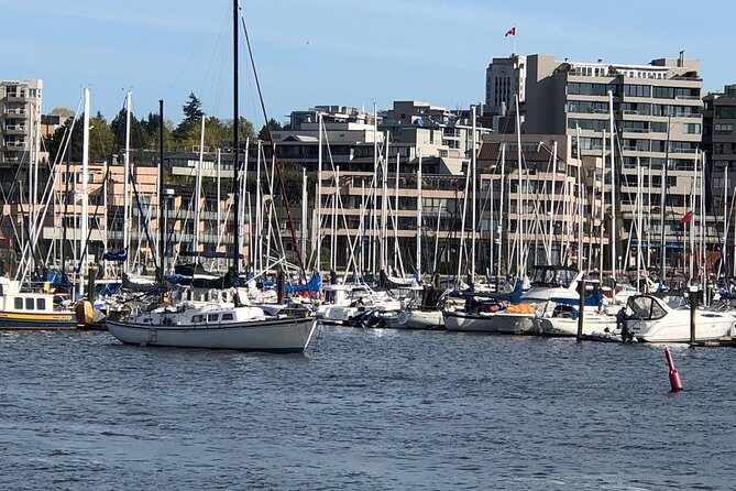 Vancouver Half Day City Tour Private - What Makes This Tour Stand Out?