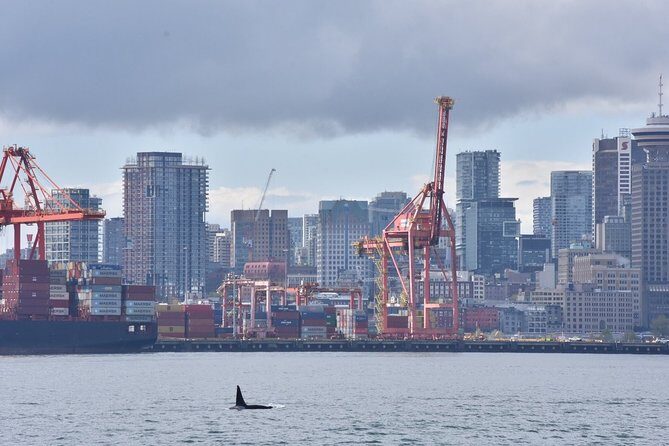 Vancouver Half-Day Whale Watching Adventure with Free Photos - Wrapping It All Up