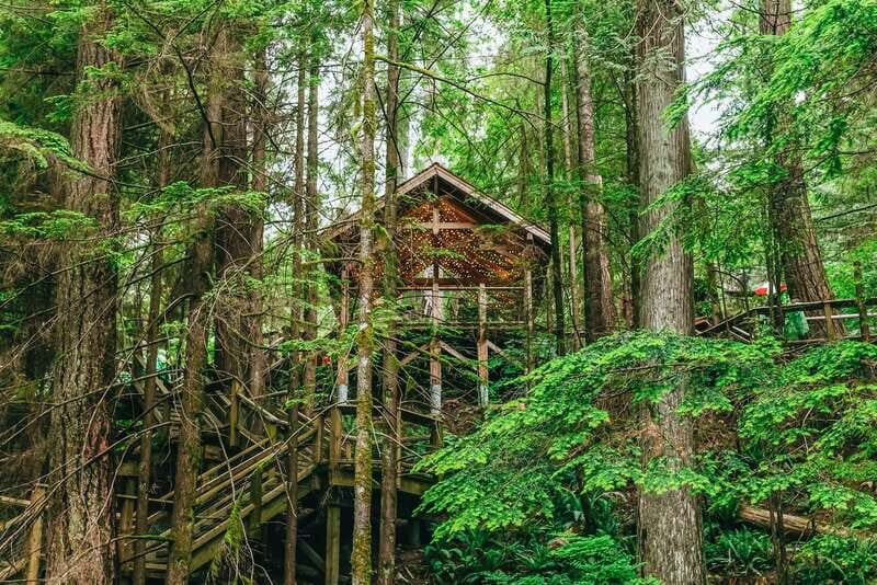 Vancouver Highlights: Capilano Bridge & Granville Island - Authentic Experiences and Authenticity