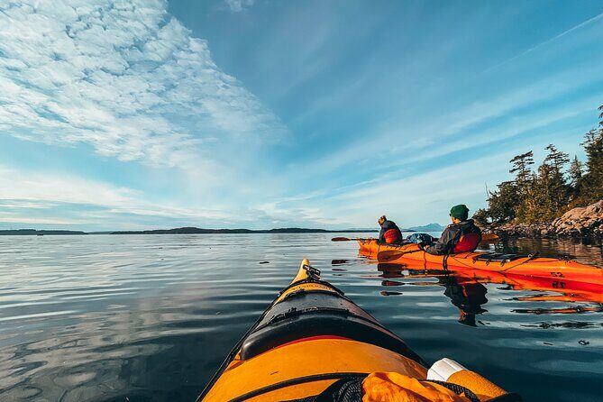 Vancouver Island: 2-Hour Evening Kayak Tour from Telegraph Cove - A Close Look at the Experience