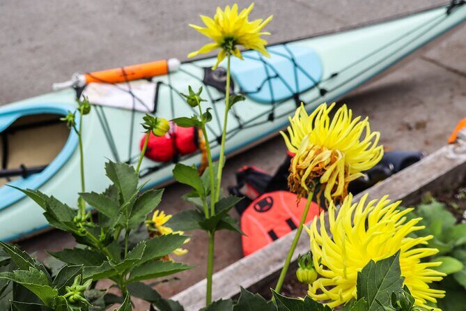 Vancouver Island: 2-Hour Evening Kayak Tour from Telegraph Cove - Final Thoughts