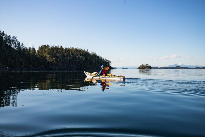 Vancouver Island: 2-Hour Guided Kayak Tour from Telegraph Cove - Why the Vancouver Island Kayak Experience is Worth Considering