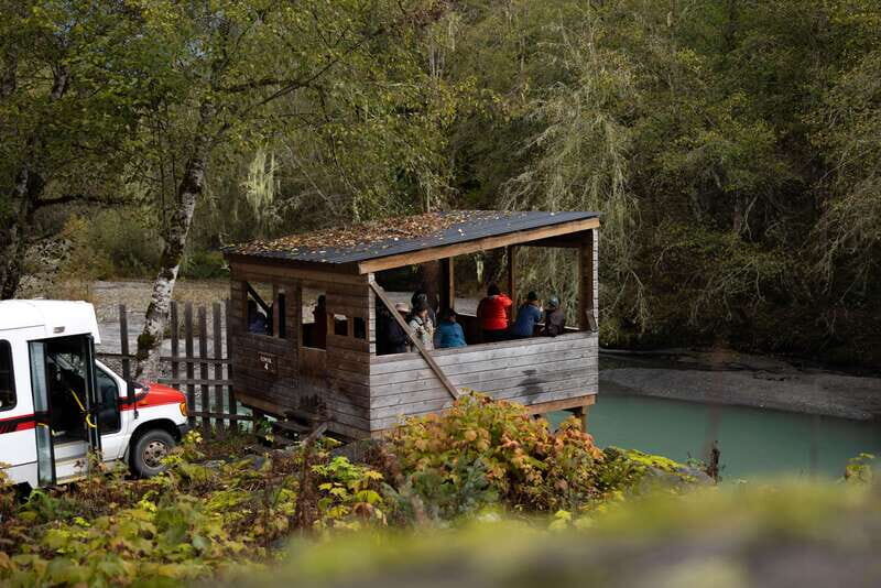 Vancouver Island: Full-Day Grizzly Bear Tour at Toba Inlet - If You’re Considering This Tour