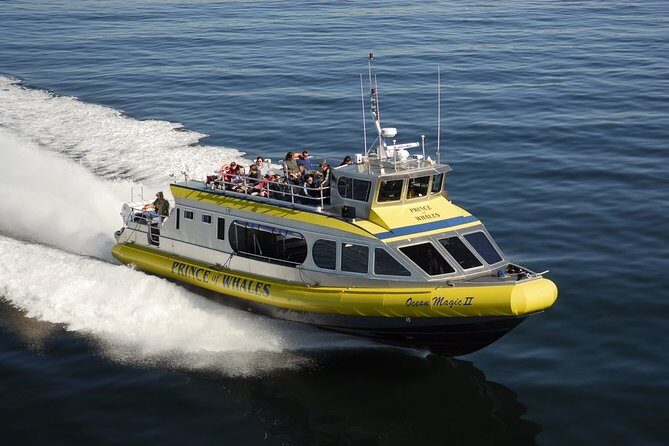 Vancouver Island Half-Day Whale Watching Tour - Telegraph Cove - What to Expect on the Tour