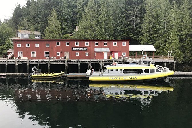 Vancouver Island Half-Day Whale Watching Tour - Telegraph Cove - The Sum Up
