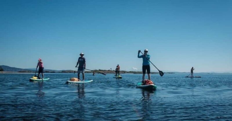 Vancouver Island: Marine Ecological Tour with Mer Tales - The Experience’s Practical Aspects