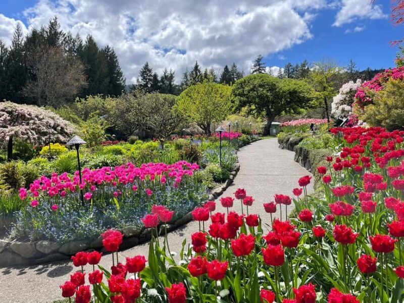 Vancouver island: Victoria & Butchart Gardens day tour - Final Impressions