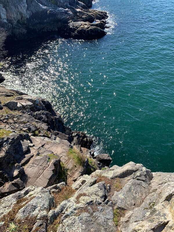 Vancouver: Lighthouse Park Hike - Who Should Consider This Tour?